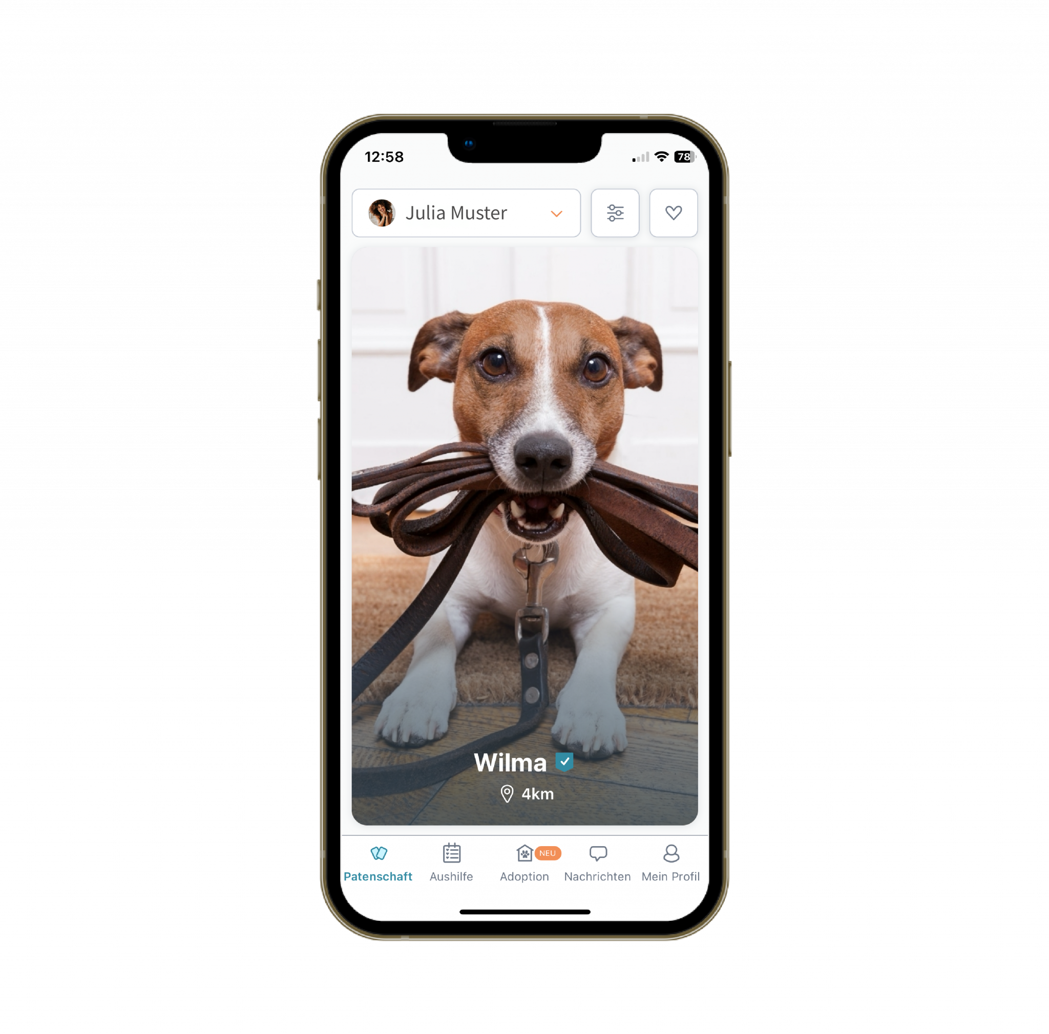 Dogsharing App für Hundeliebhaber & Besitzer | Patzo